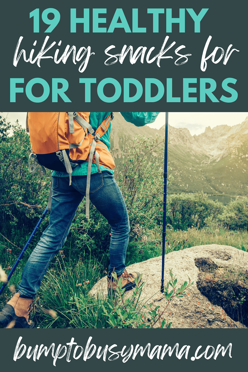 19 Healthy Hiking Snacks For Toddlers | Bump To Busy Mama