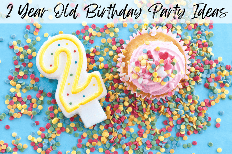 92 Actually Brilliant 2 Year Old Birthday Party Ideas | Bump To Busy Mama