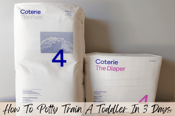 Exactly How To Potty Train A Toddler In 3 Days | Bump To Busy Mama