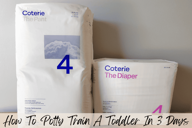 Exactly How To Potty Train A Toddler In 3 Days | Bump To Busy Mama