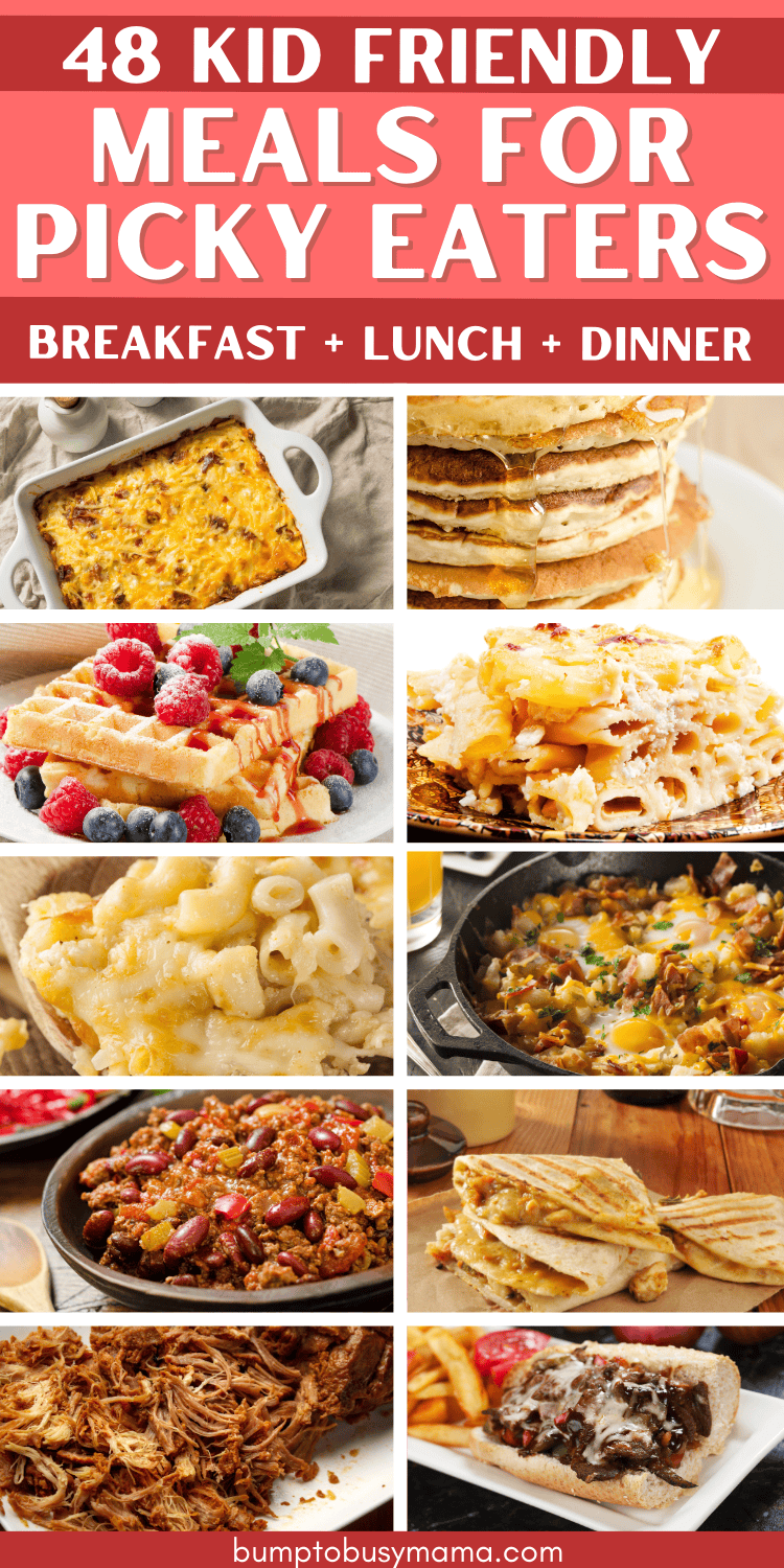 48 Kid Friendly Meals For Picky Eaters That Parents Swear By | Bump To ...
