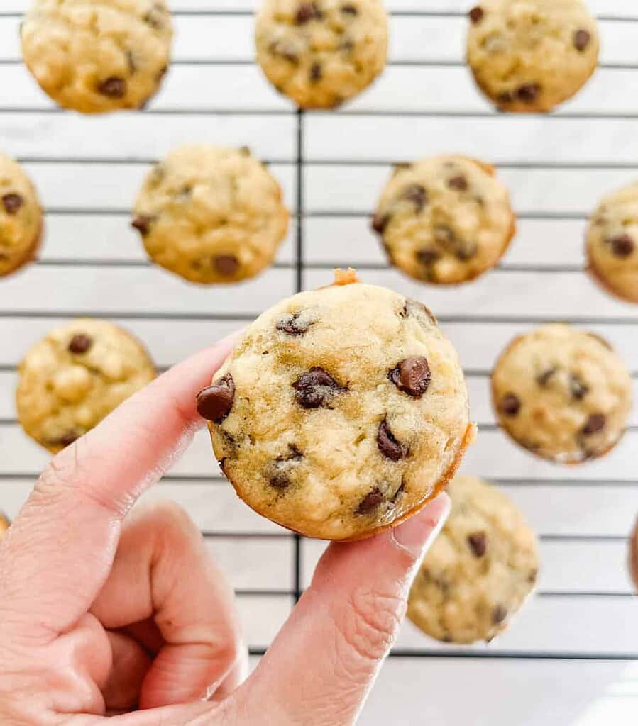 20 Irresistible Finger Foods For Kids- Sweet, Savory & Healthy Snacks ...